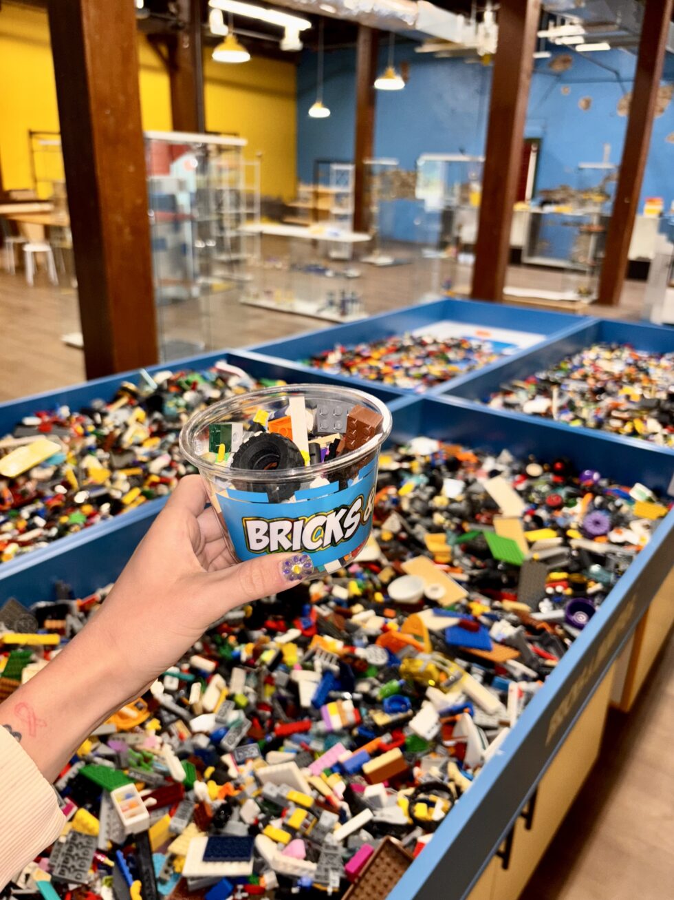 Bricks & Minifigs Hot Springs | Authorized LEGO® Reseller