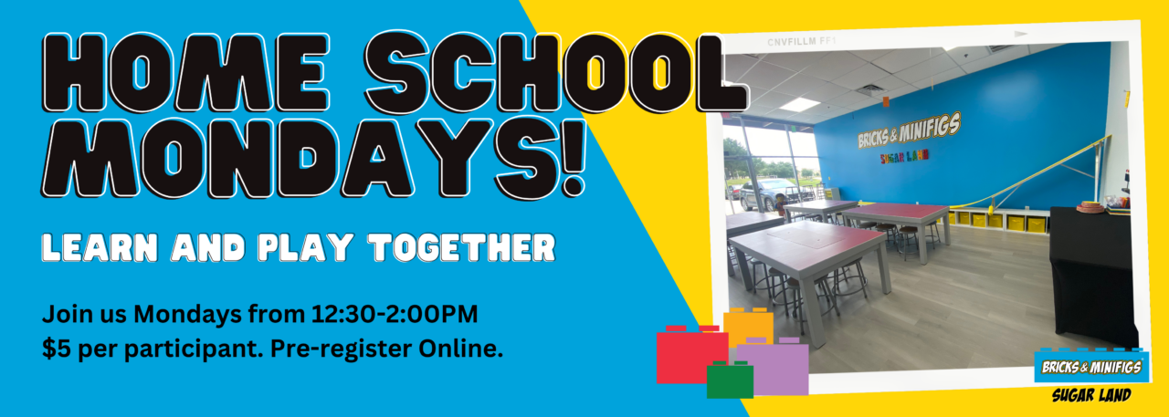 Bricks and Minifigs | Birthday Parties - Corporate Events