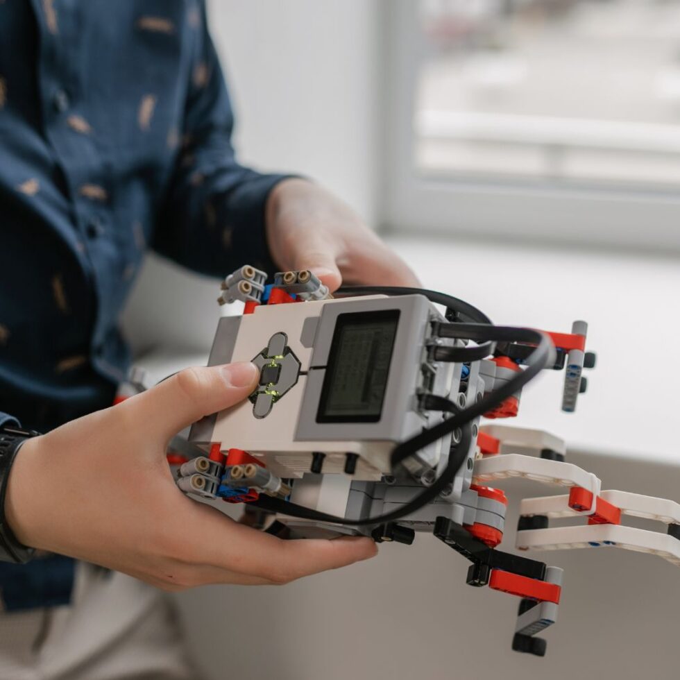 The Rise of Adult Fans of LEGO® (AFOLs) and Why Bricks & Minifigs is ...